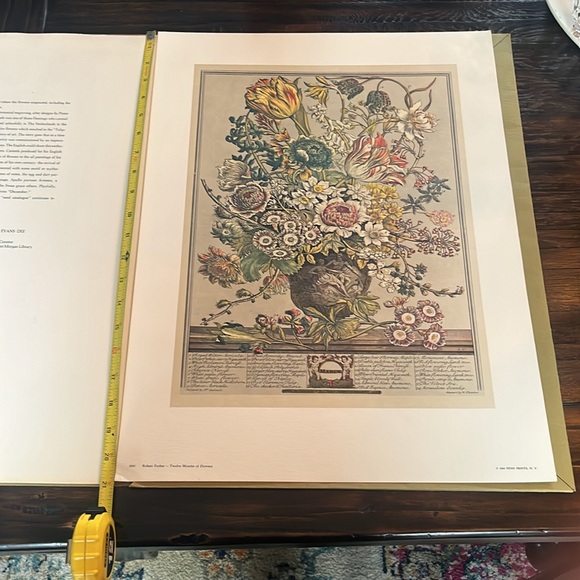 Art | Robert Furber 12 Months Of Flowers Vintage 1964 Prints Great ...